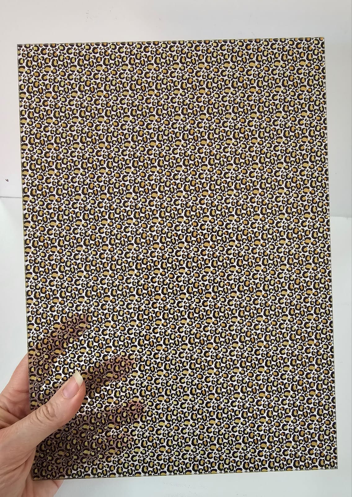 Acrylic Blanks : Patterned LEOPARD PRINT 04 Clear Boards (A6, A5, A4 ...