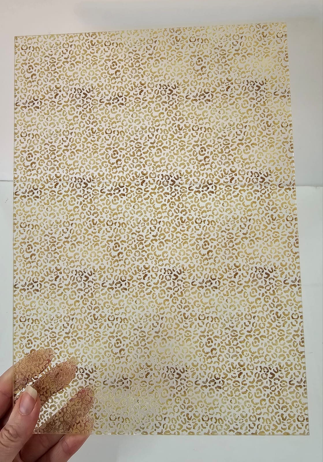 Acrylic Blanks : Patterned LEOPARD PRINT 02 Clear Boards (A6, A5, A4 ...